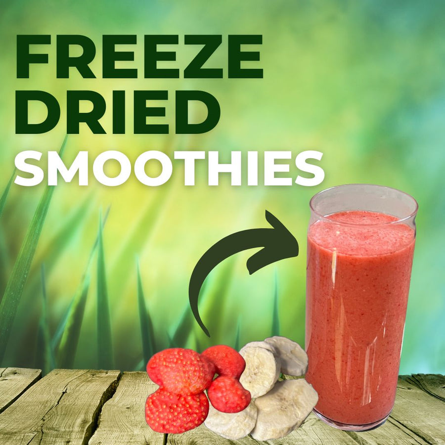 Unleashing the Power of Freeze-Dried Smoothies: A Nutritional Delight ...
