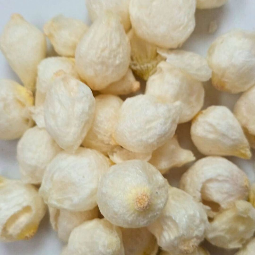 Freeze Dried Pickled Onion – NutriBoom